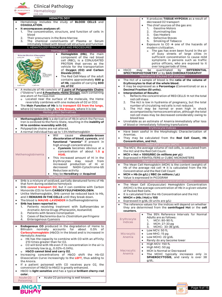 Hematology | PDF | White Blood Cell | Anemia