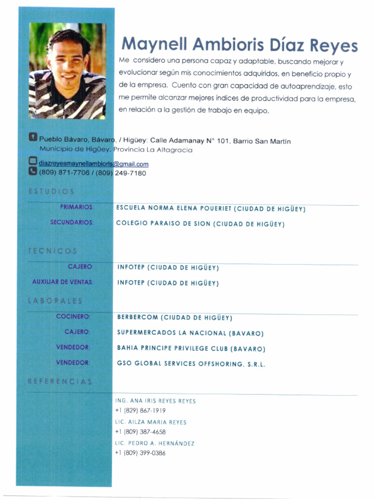 CV Maynell Ambioris Diaz Reyes | PDF