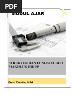 Modul Ajar Ipa Sistem Peredaran Darah | PDF