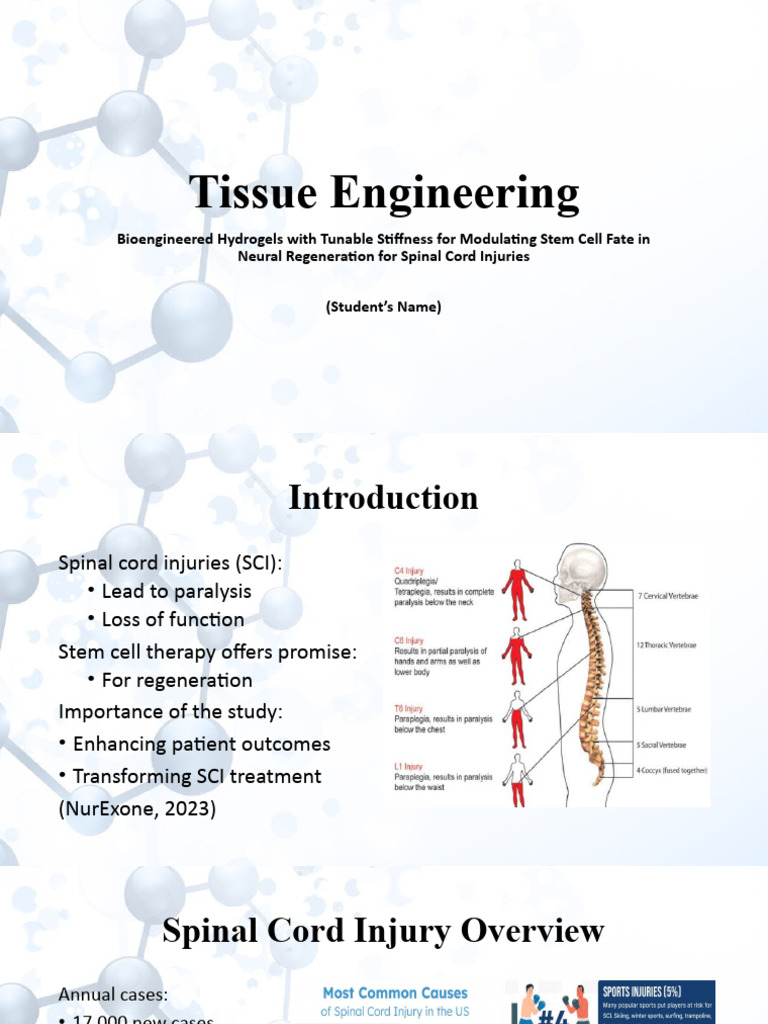 Tissue Engineering | PDF | Tissue Engineering | Stem Cell