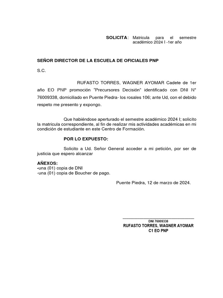 Solicitud 2024 C1 Eo PNP | PDF