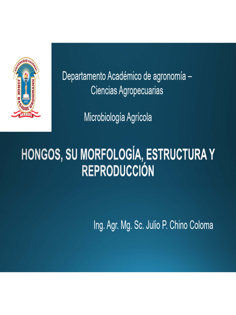 Tema 5_hongos, Morfología, Estructura y Reproducción | PDF | Hongo | Espora