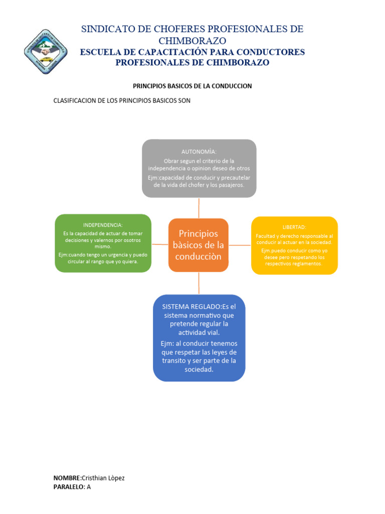 Principios Basicos de La Conduccion | PDF Principios Basicos de La Conduccion | PDF