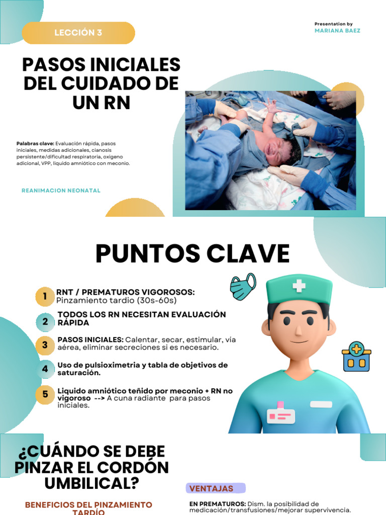 Reanimación Neonatal: Pasos Clave y Pinzamiento | PDF | Medicina ...