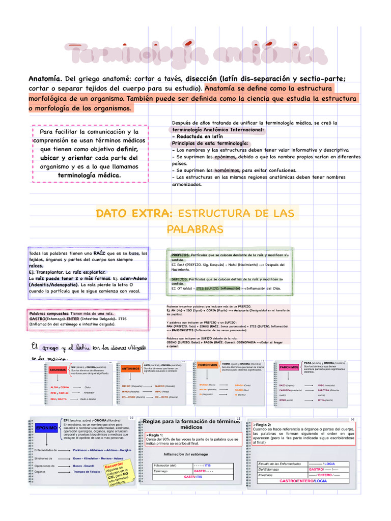 TEMA 2. TERMINOLOGÍA MÉDICA ANATOMICA | PDF | Términos anatómicos de ubicación | Anatomía