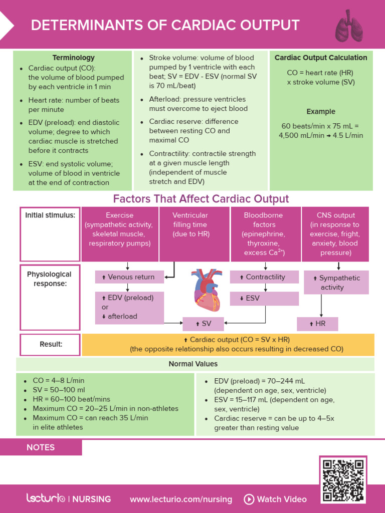 Nursing CS Determinates of Cardiac Output-1 | Download Free PDF | Heart ...