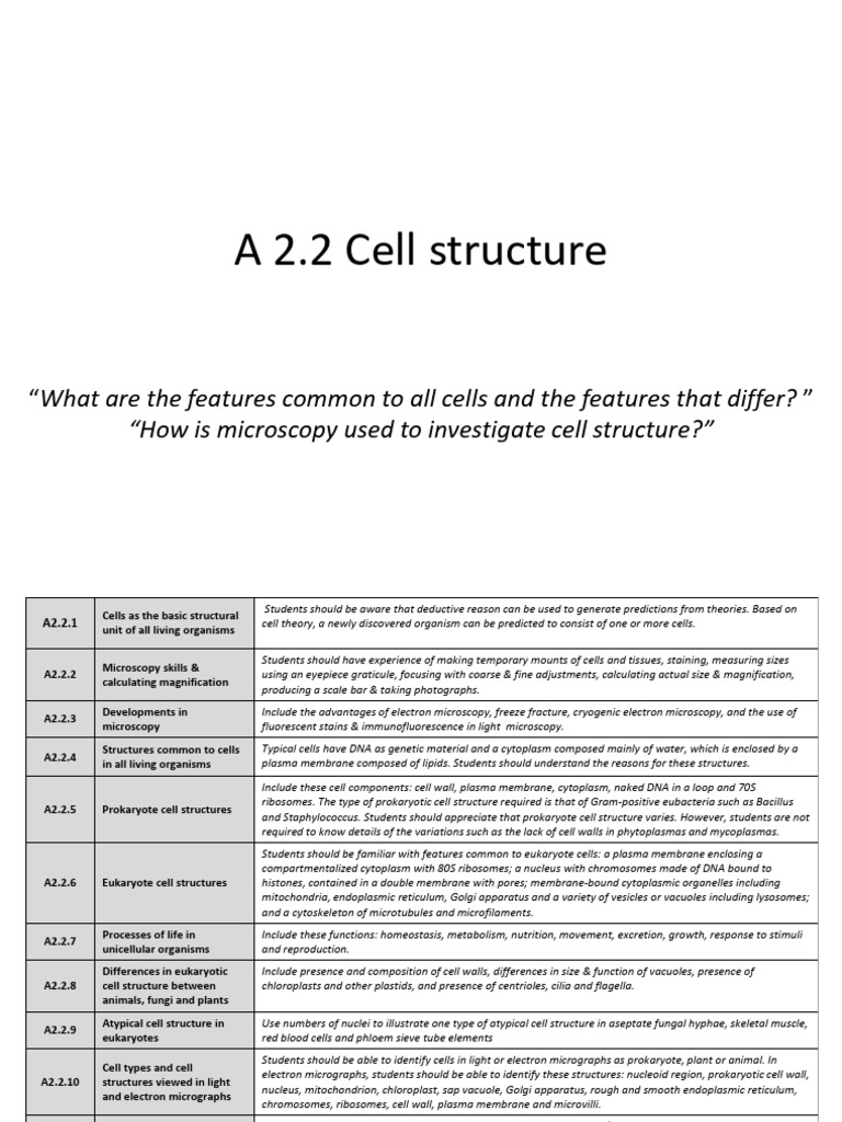 IB DP Bio Cell Structure | PDF | Endoplasmic Reticulum | Cell (Biology)