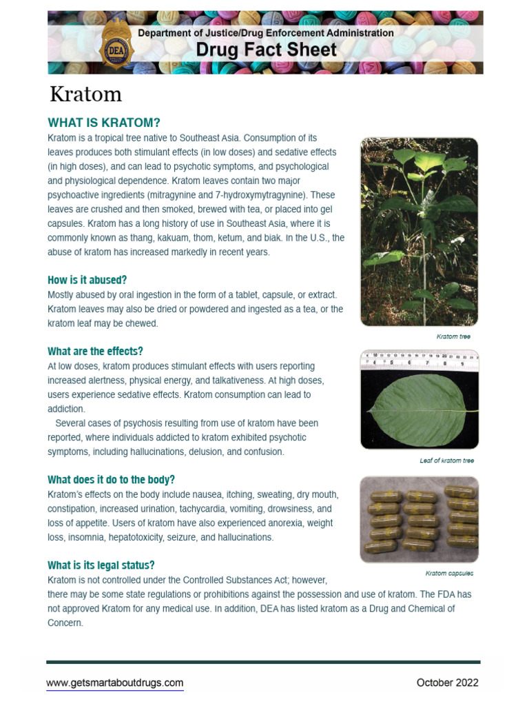 Kratom 2022 Drug Fact Sheet | PDF