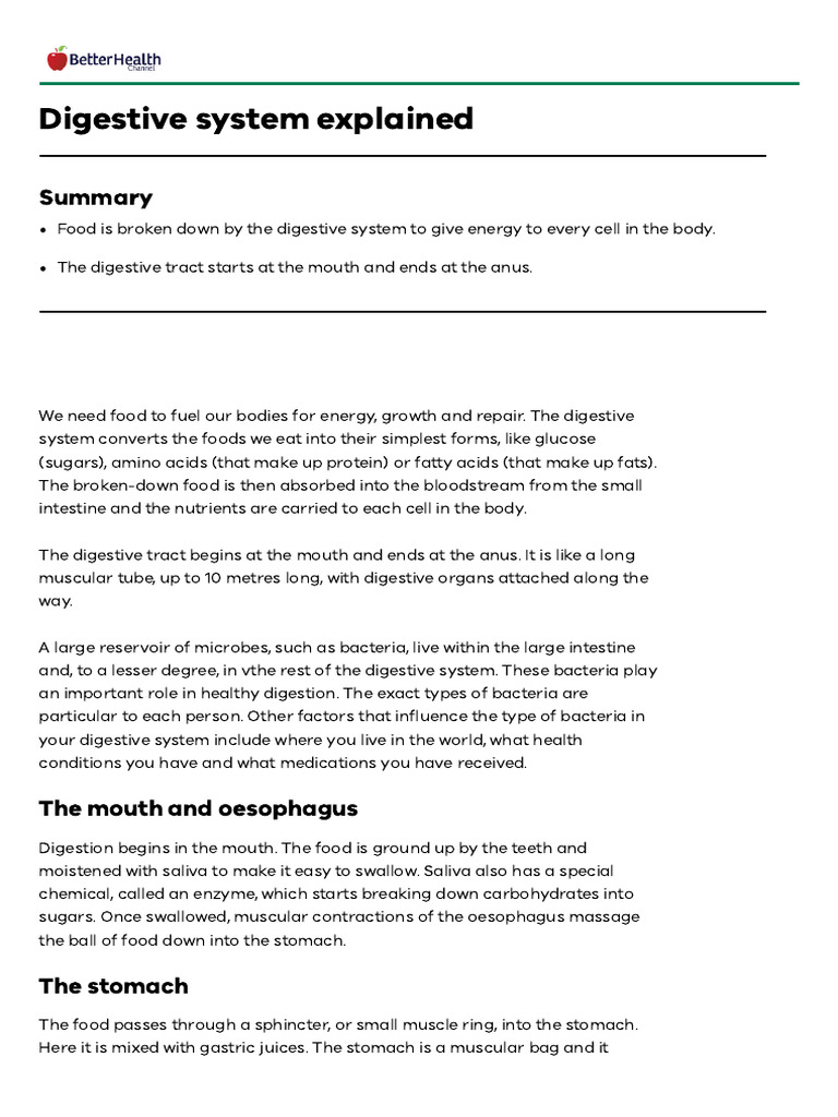 Digestive System Explained - Better Health Channel | PDF | Human ...