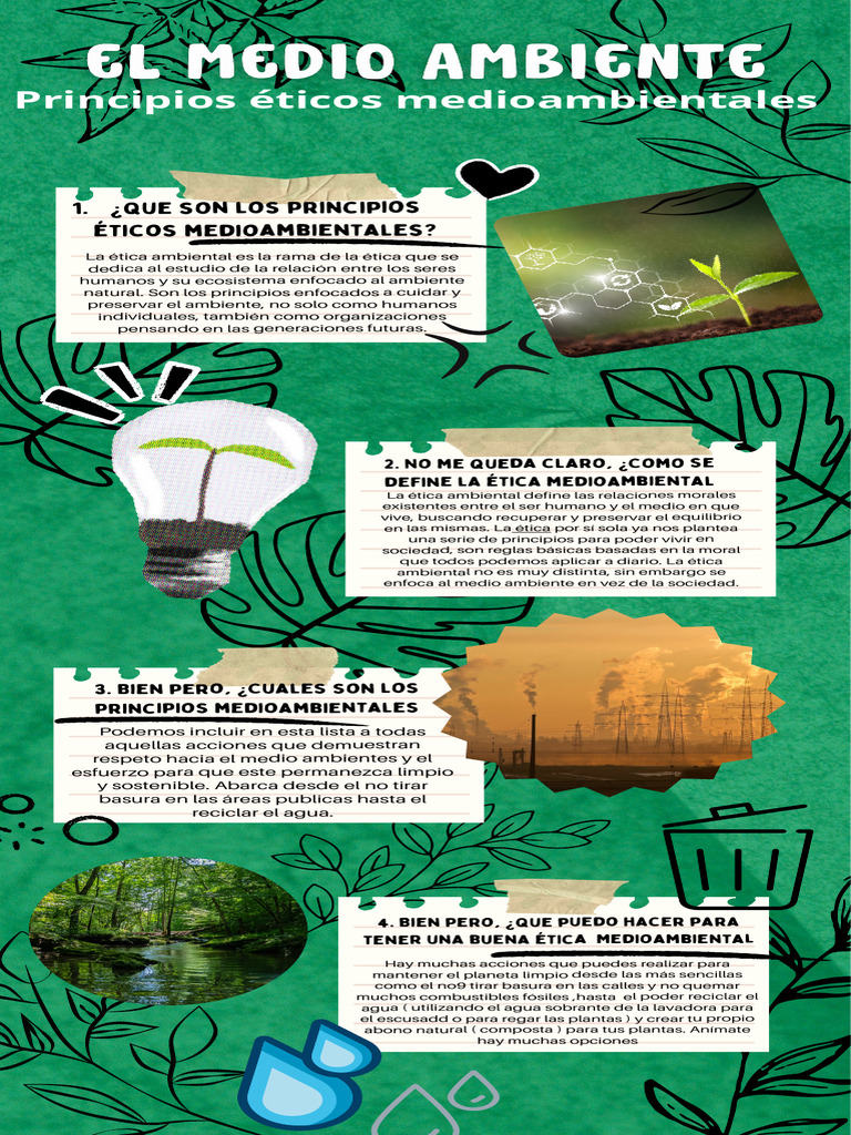 Infografia Medio Ambiente Creativo Verde | PDF | Entorno natural ...
