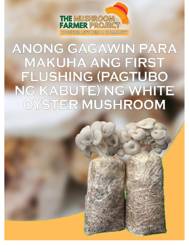 Anong Gagawin para Makuha Ang First Flushing Ebook | PDF