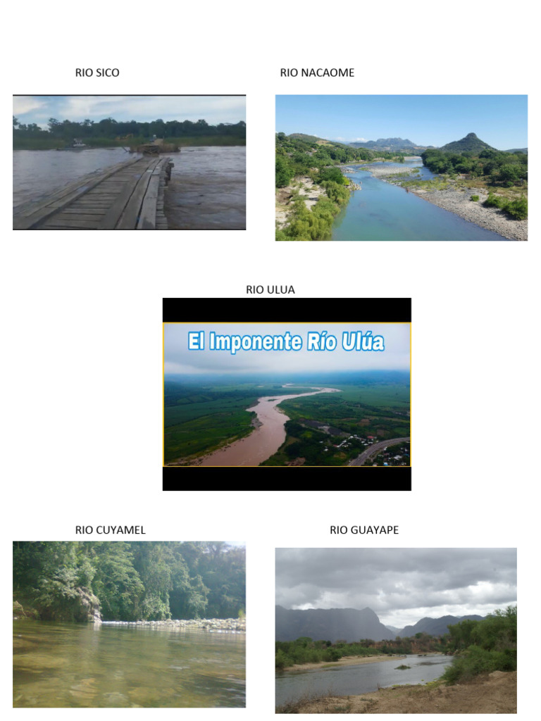 Honduras Bella Pdf Honduras Los Bosques