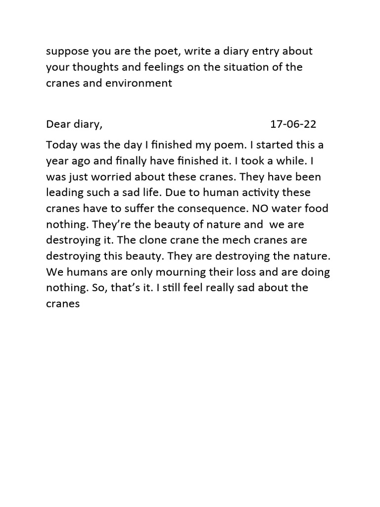 Diary Entry | PDF