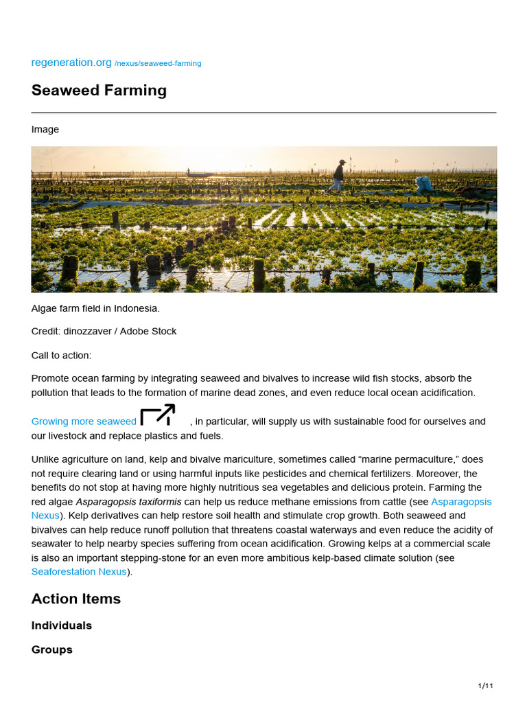 Seaweed Farming for Eco Innovators | PDF | Agriculture | Seaweed