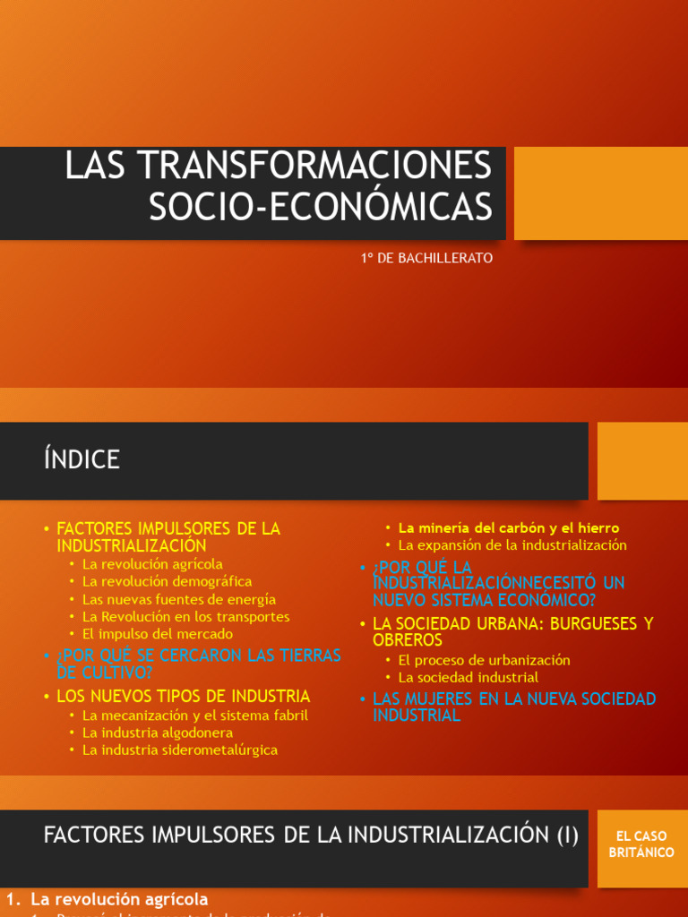 Tema 2 Las Transformaciones Socioeconómicas | PDF | Agricultura | Textiles
