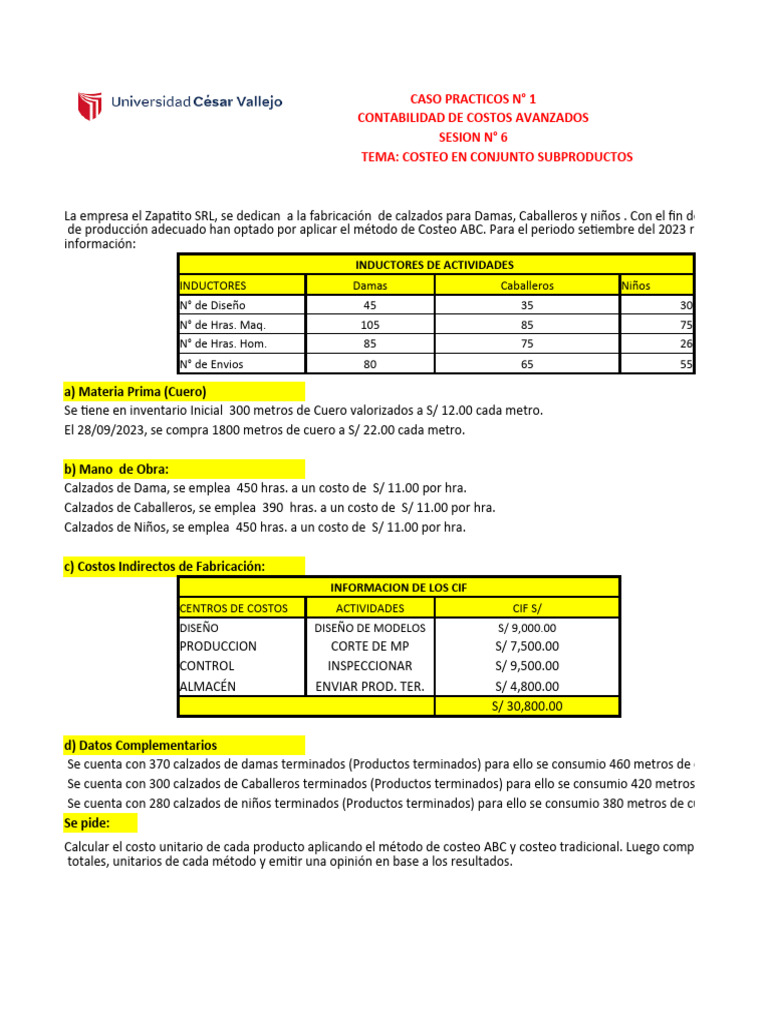 COSTEO ABC - Individual | PDF | Cuero | Economias