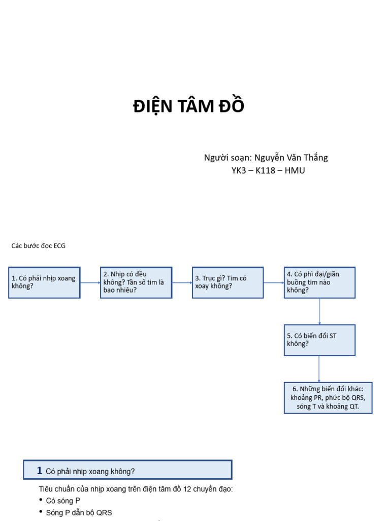Ecg-S3 1 | PDF