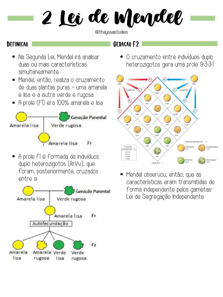 2 Lei de Mendel | PDF