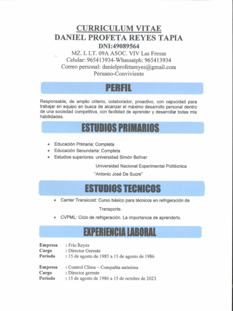 Cv Daniel Completo | PDF