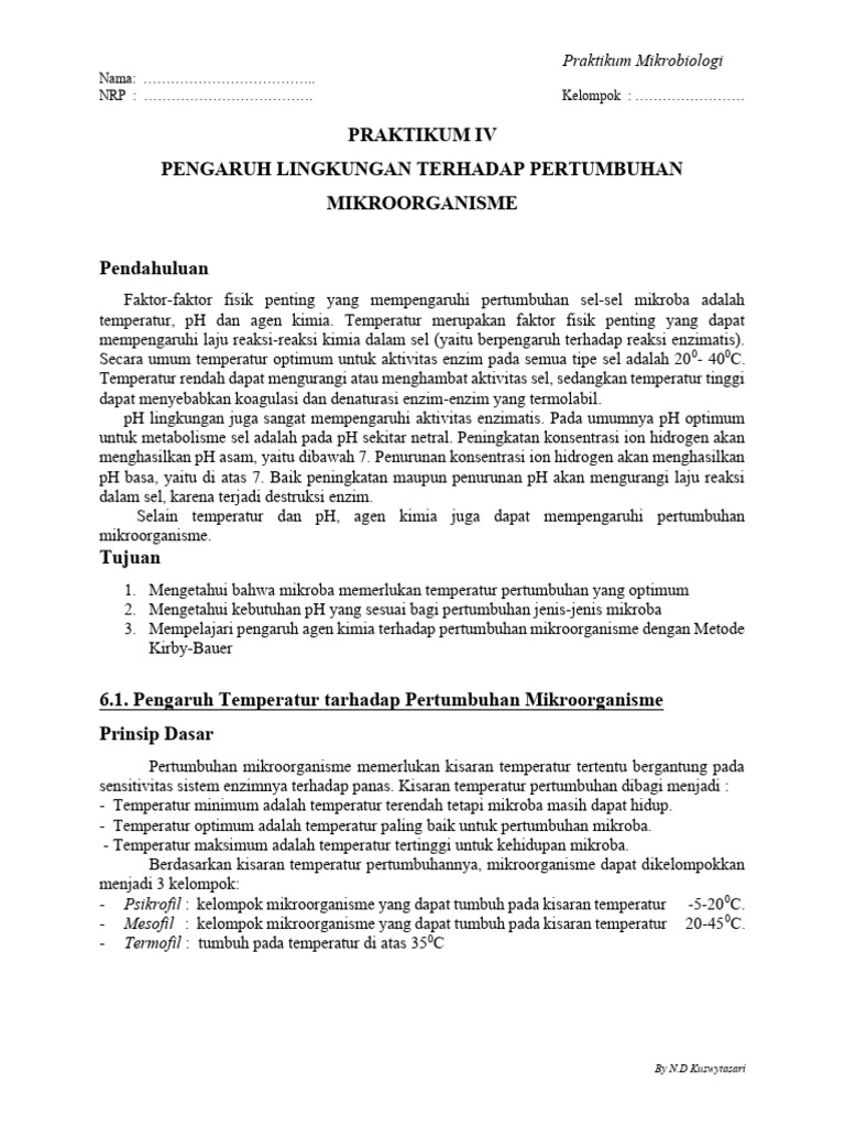 Prakt Iv | PDF