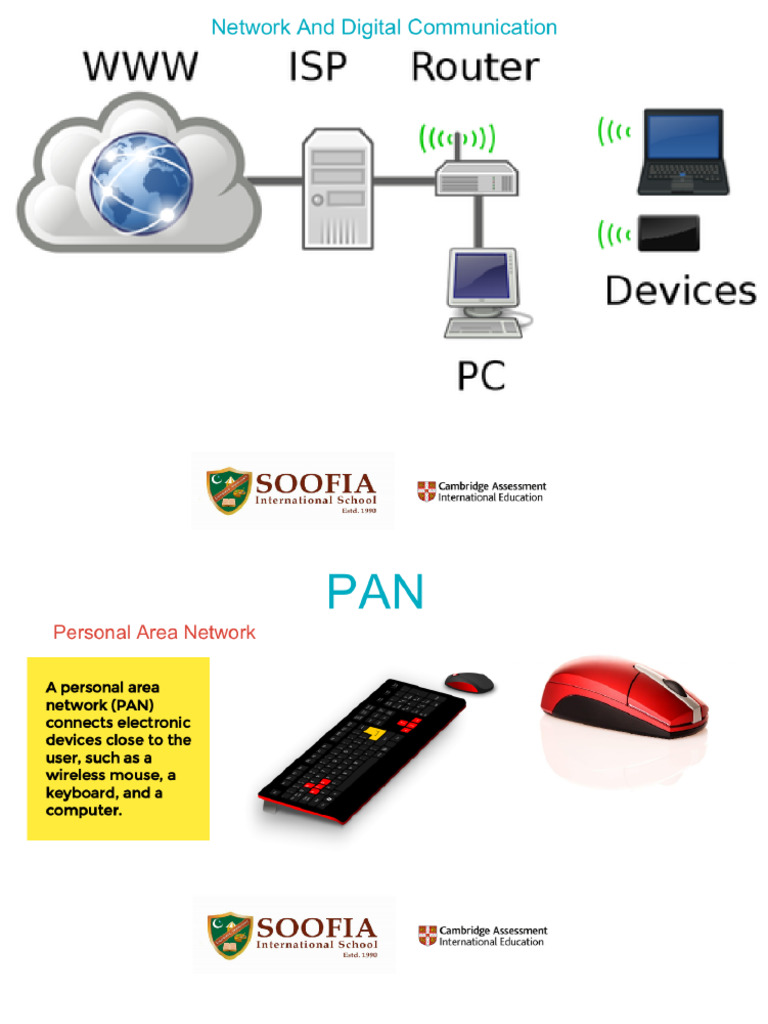 Types of Networks | PDF