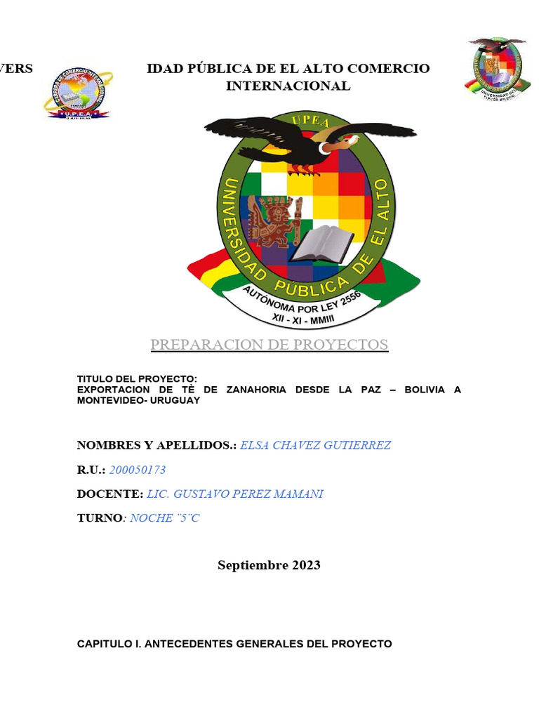 Proyecto Elsa Chavez-1 | PDF | Marketing | Producto (Negocio)