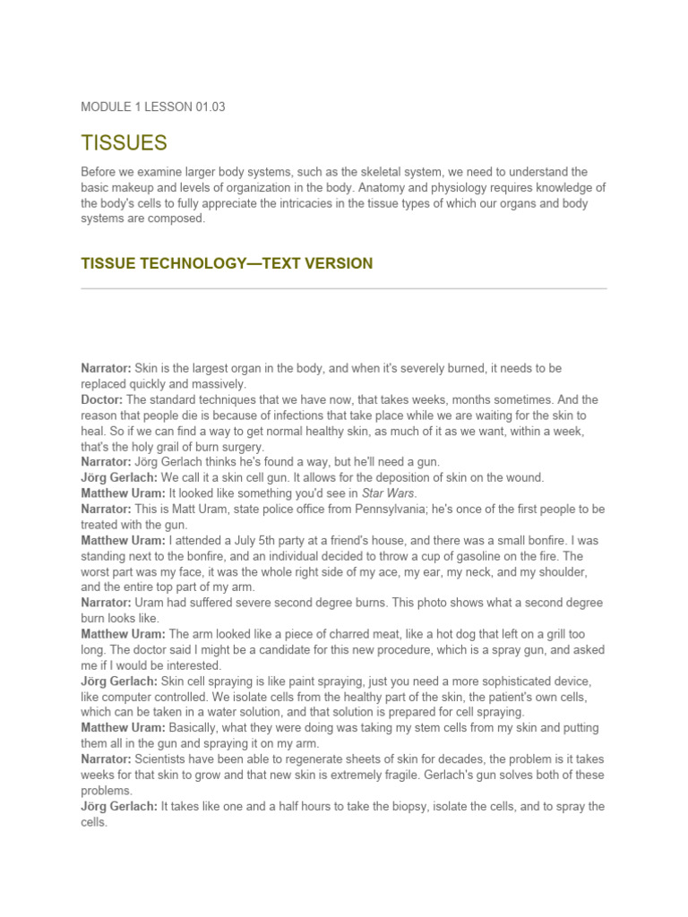 Lesson of Human Tissues | PDF | Human Body | Macromolecules