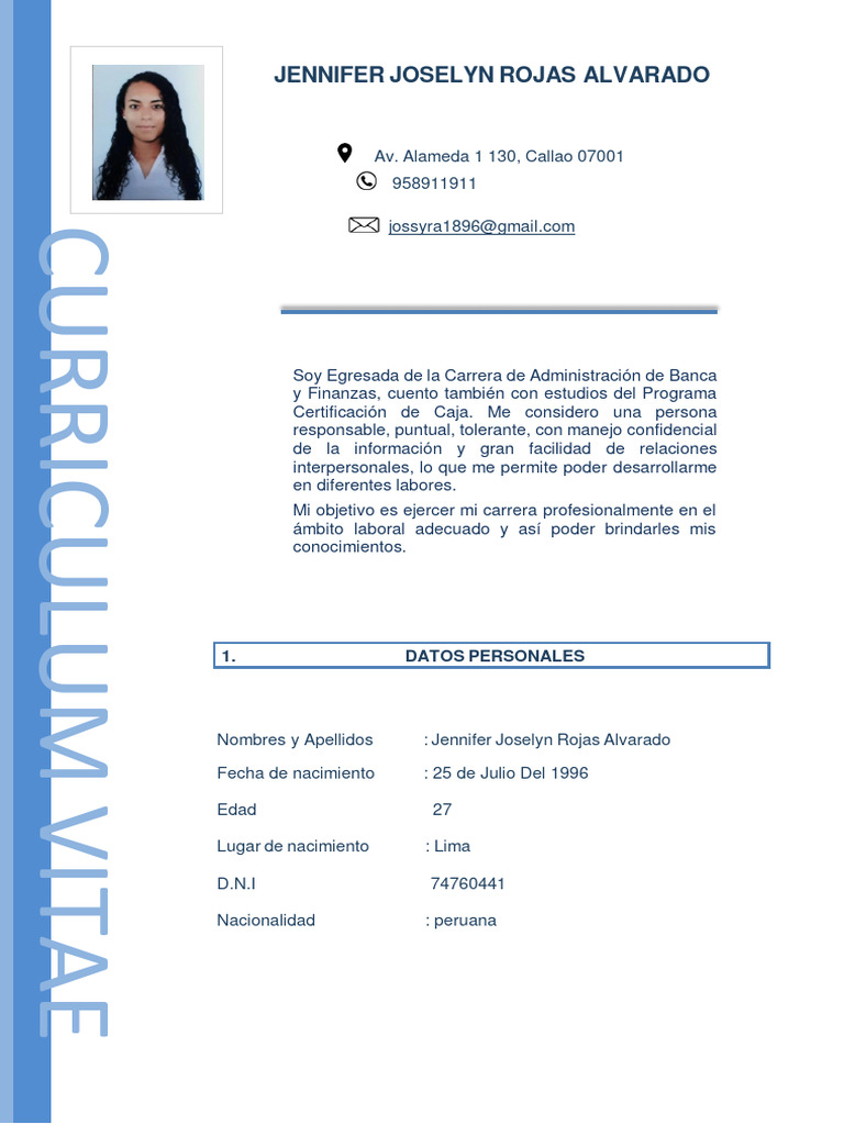 Cv 2024 | Descargar gratis PDF | Business | Economias