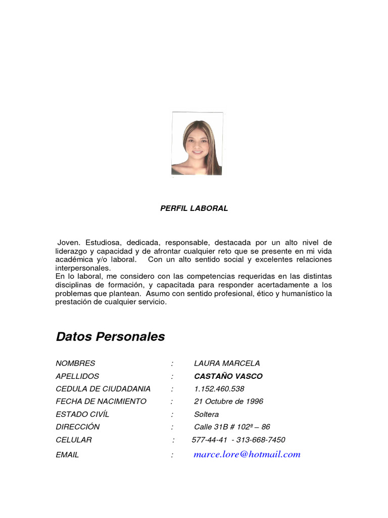 Datos Personales: Perfil Laboral | PDF | Business