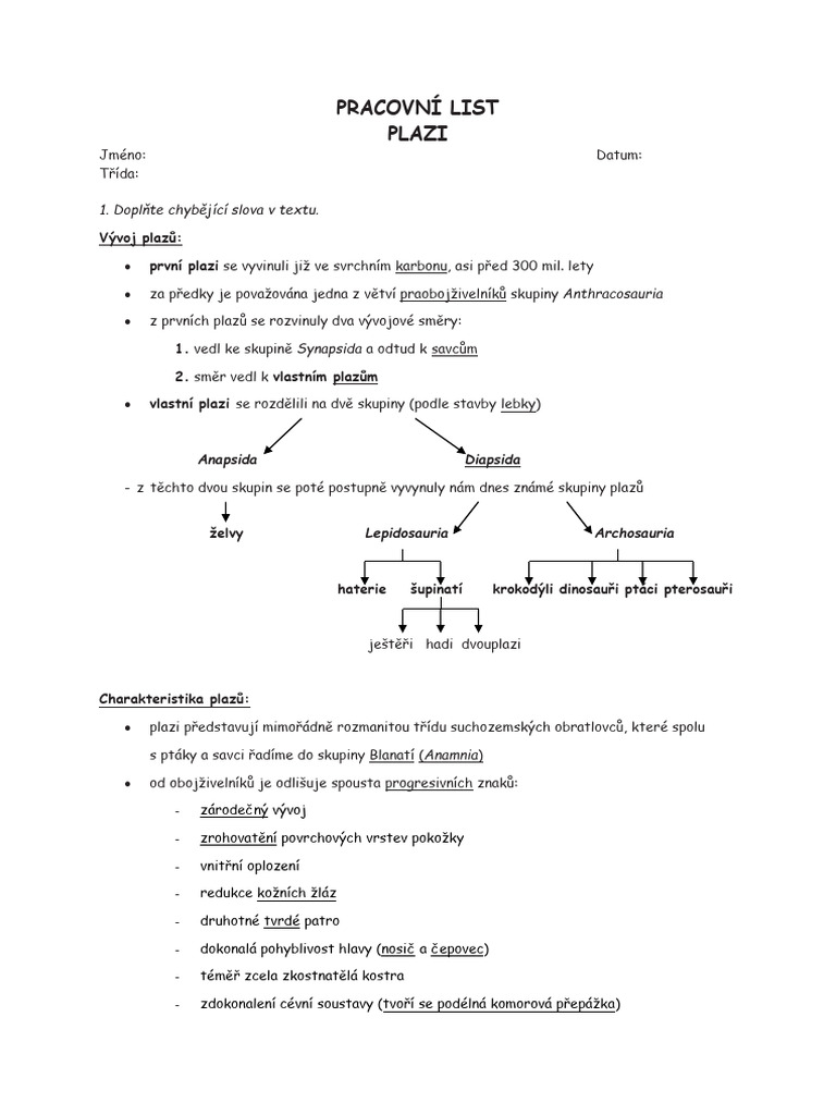 Plazi - Zápis A Prac List | PDF