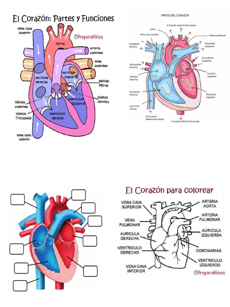 El Corazon | PDF
