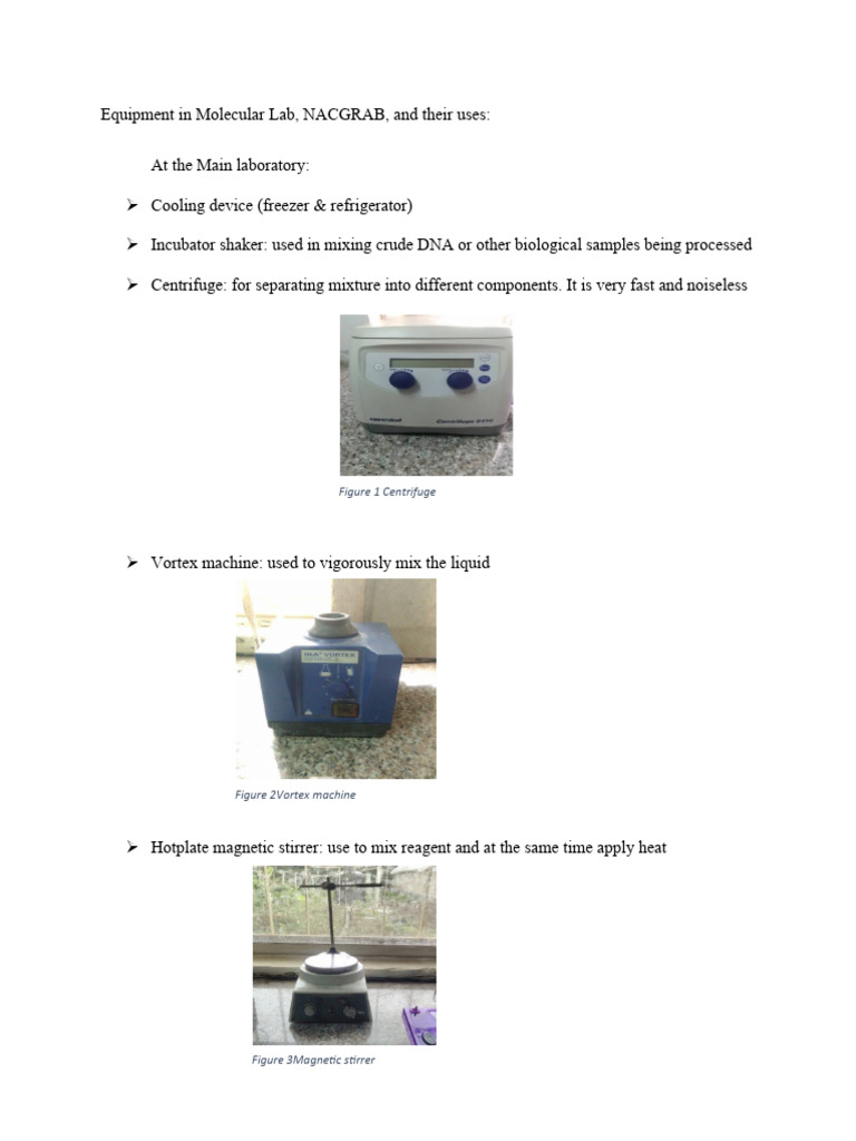 Equipment in Molecular Lab | PDF | Gel Electrophoresis | Refrigerator