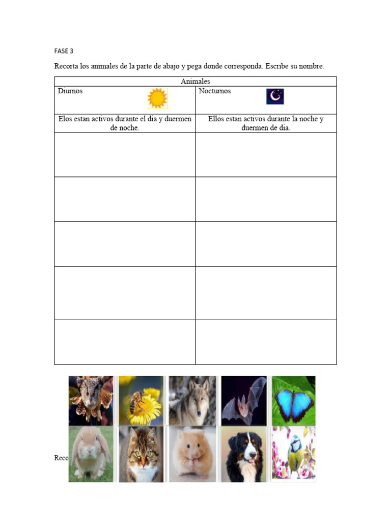 EVALUACION DEL PROYECTO VIAJEMOS AL ESPACIO | PDF | Luna | Eclipse