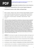 IDSA 2024 Guidelines on Intra-abdominal Infections | PDF | Medical ...