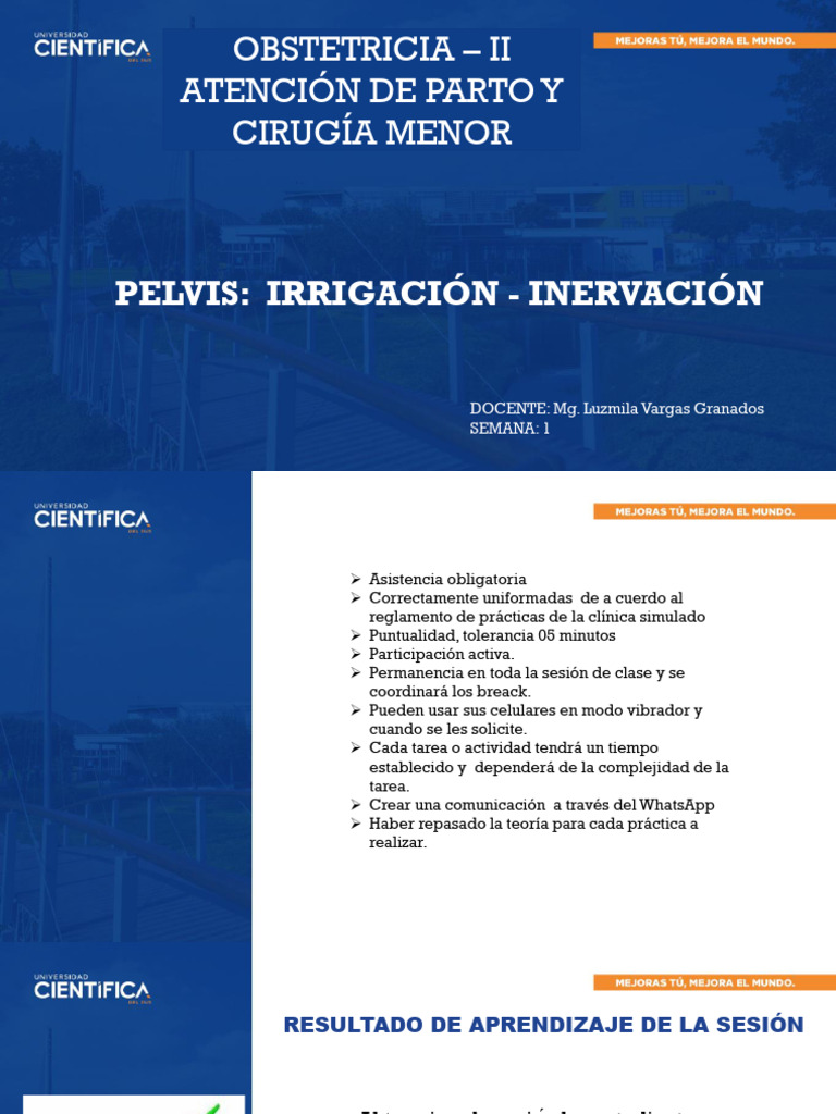 Guía Práctica 01 Obs-703 | PDF | Parto | El embarazo