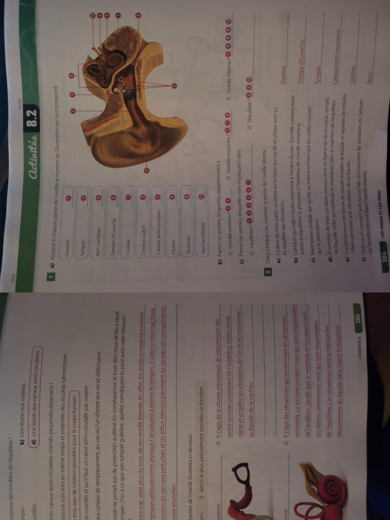 Ebeuf - Qc.capluginfile - Php151842mod ...