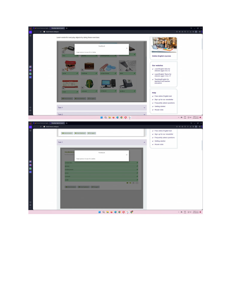 Laboratory Practice #11 Daily Use Objects | PDF