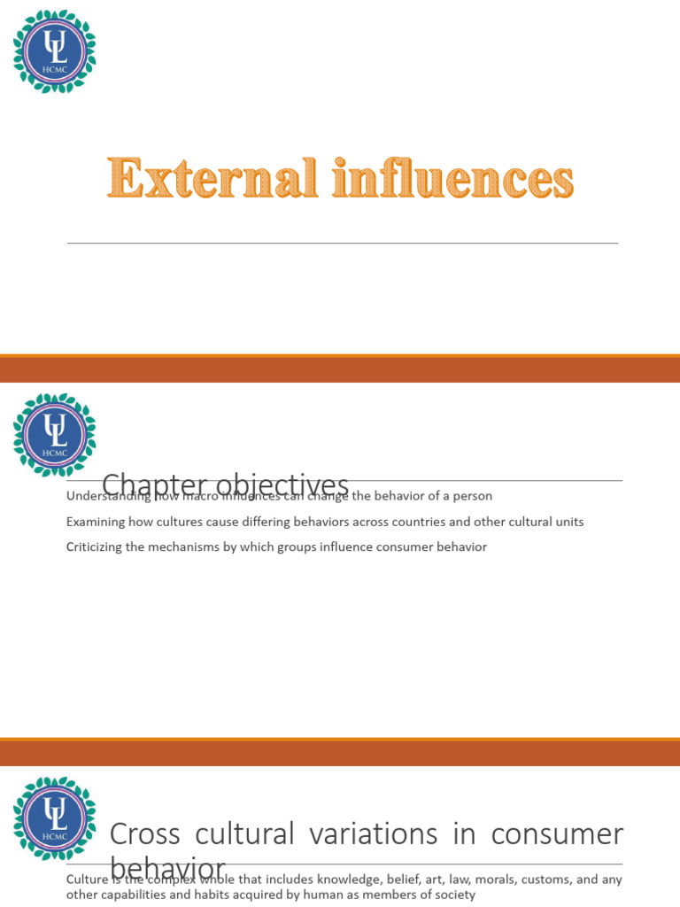 Chapter 3 External Influences | PDF | Behavior | Consumer Behaviour