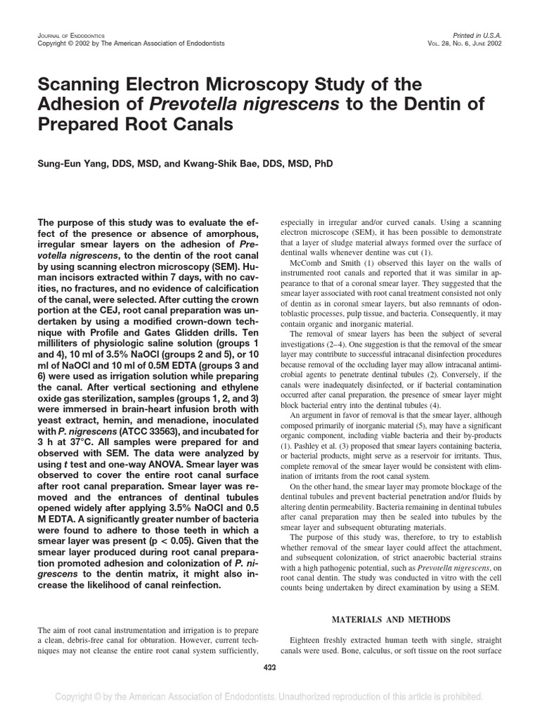 Scanning Electron Microscopy Study of The Adhesion of Prevotella ...