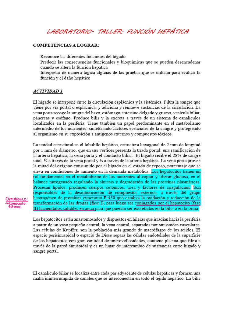 Laboratorio - Taller Funcion Hepatica | PDF | Bilis | Hígado