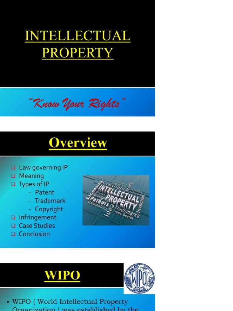 Intellectual Property | PDF