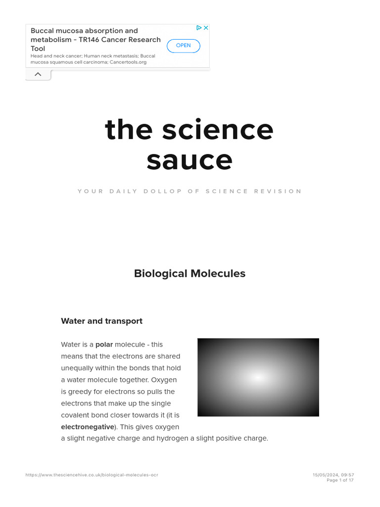 Biological Molecules Overview | PDF | Carbohydrates | Triglyceride
