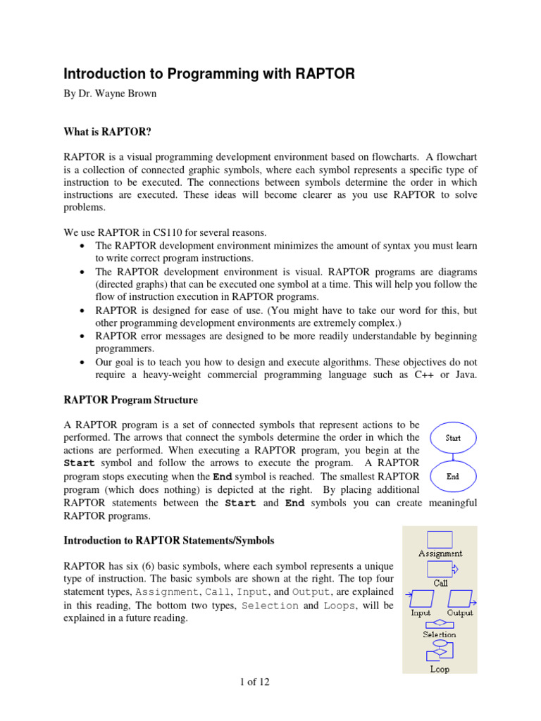 Raptor 1 | PDF | Computer Program | Programming