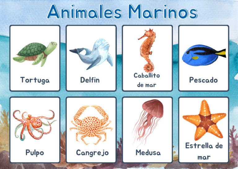 Animales Marinos: Tipos y Ejemplos | PDF