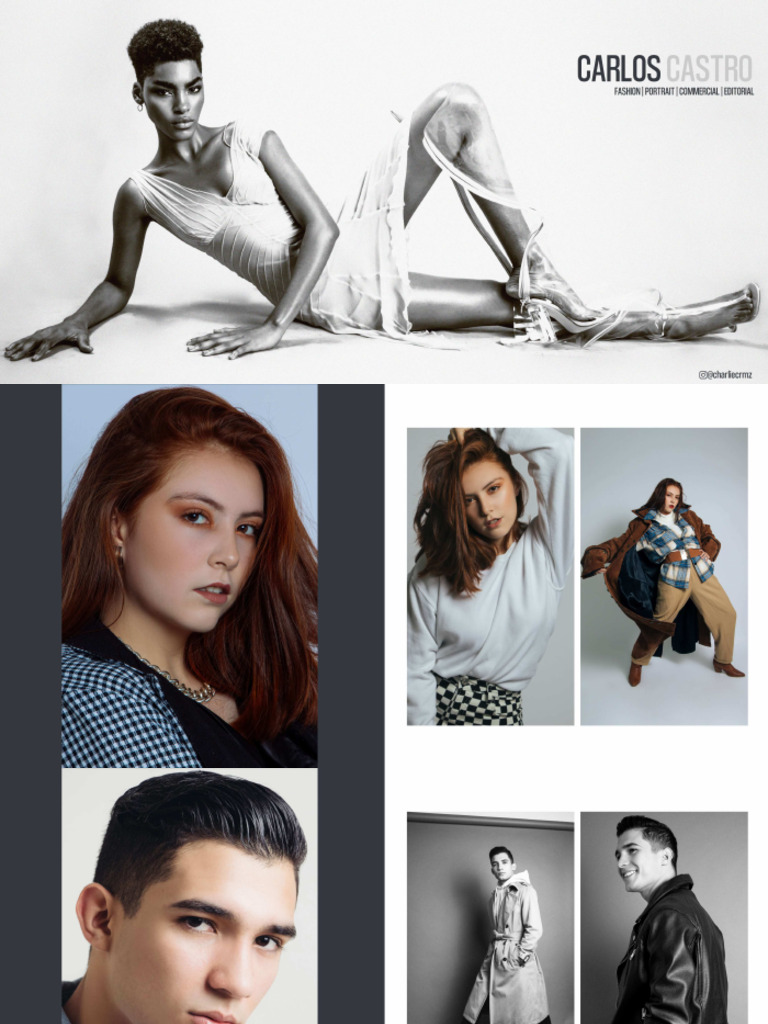 Portfolio Carlos Castro | PDF