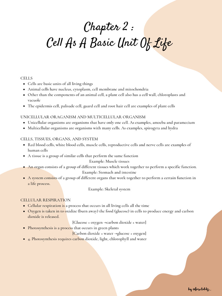Overview of Cell Structure and Function | PDF | Home & Garden | Wellness