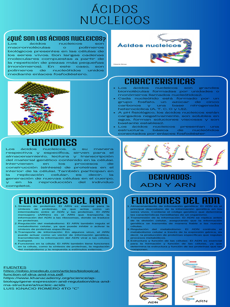 Cta - PDF 123 | PDF | Rna | Adn