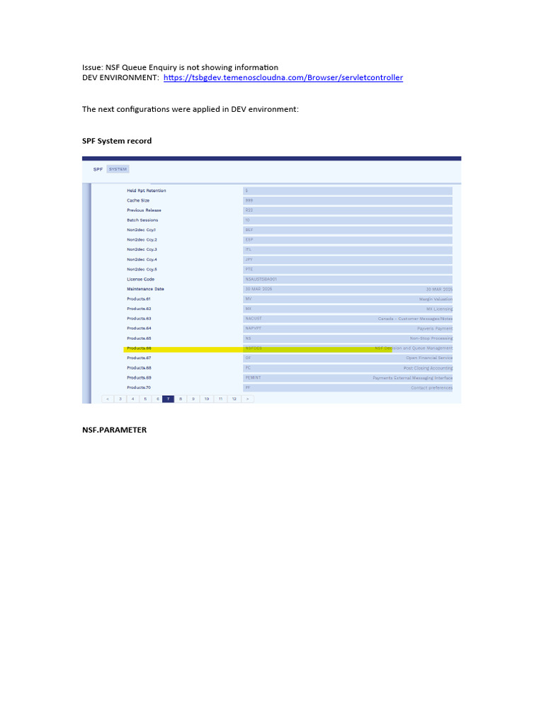 NSF Queue Enquiry Not Displaying Records | PDF | Finance & Money Management
