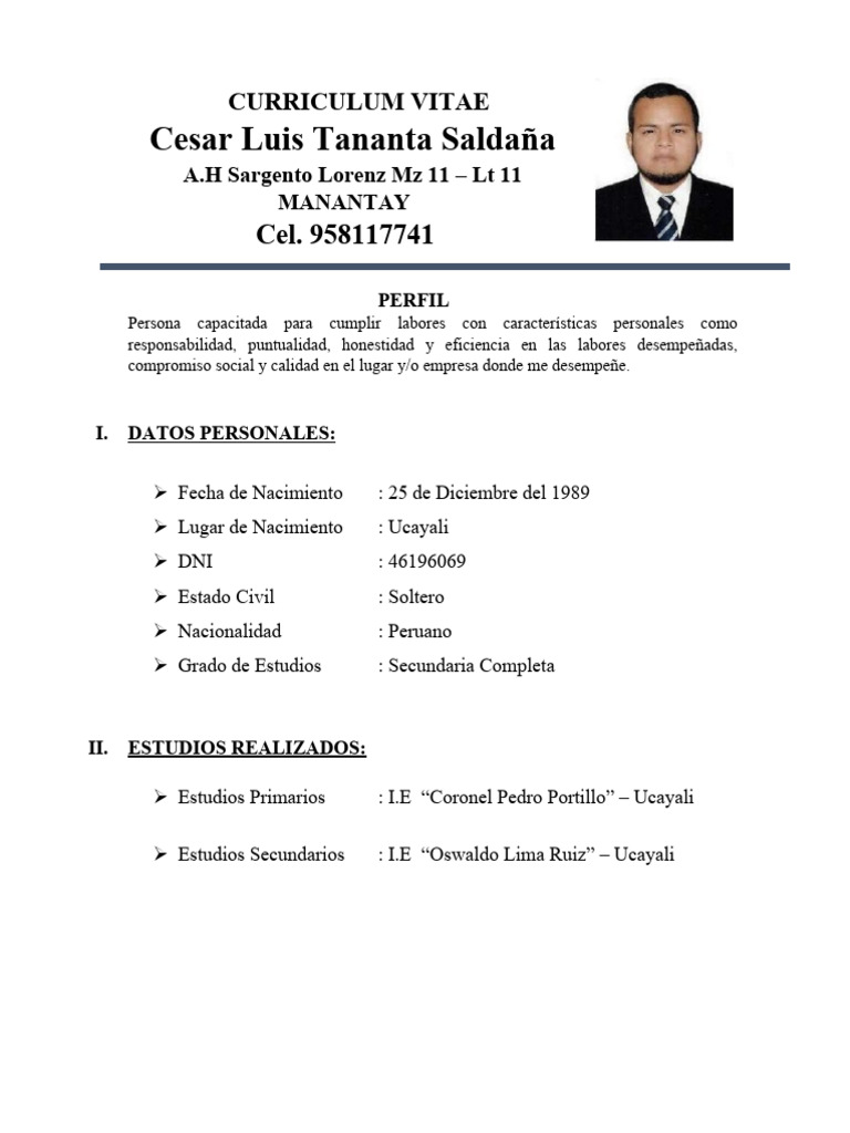 Curriculum Vitae Luis Tananta Saldaña | PDF