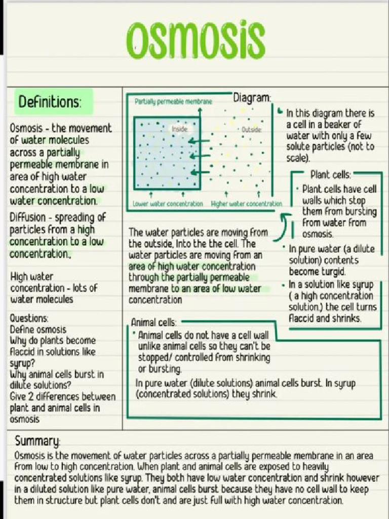 Osmosis Notes For Bio!! XX | PDF